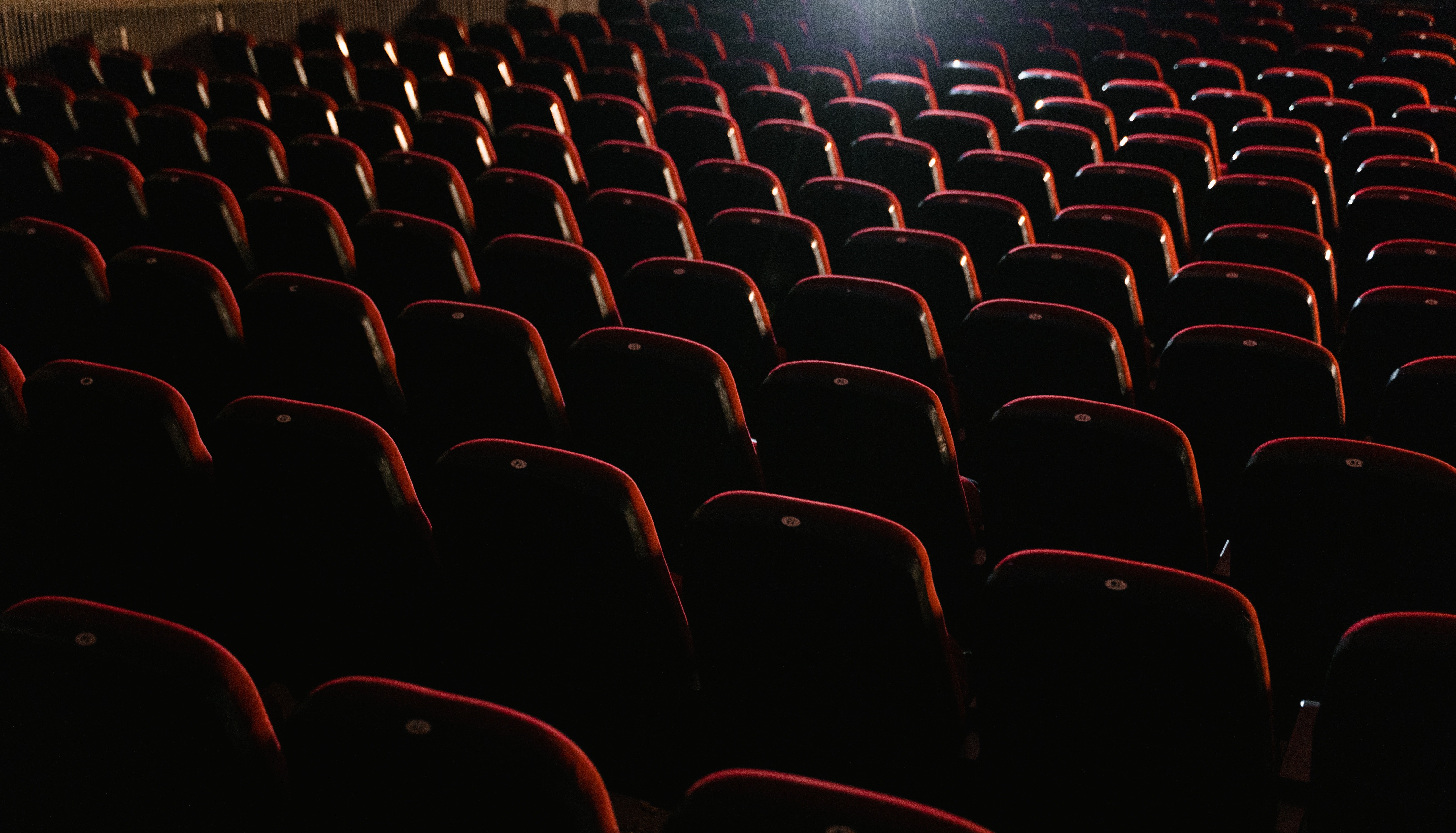Cine Club UACh finaliza el 2024 con estreno de “La habitación de al ...