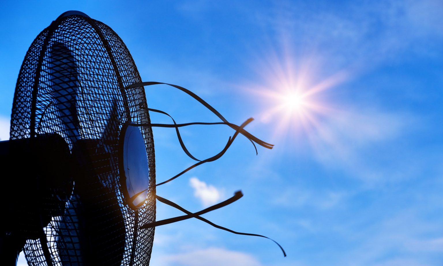 ¿Quiénes Somos? – RioenLinea