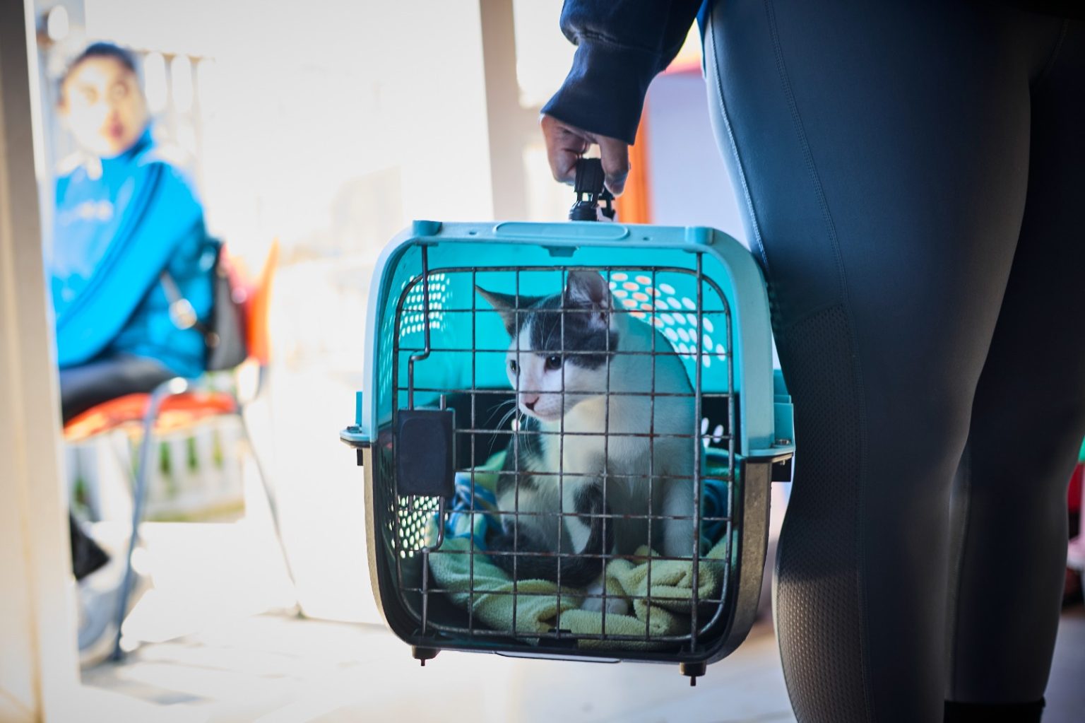 Inversión de $84 millones impulsará atención veterinaria y proyectos ...